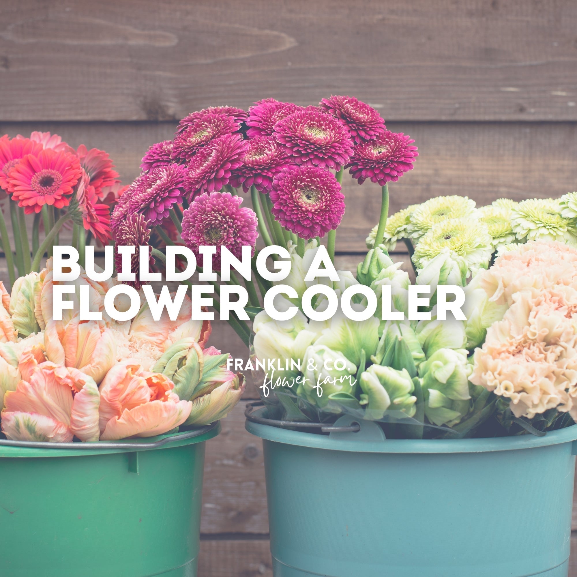We Built a CoolBot Flower Cooler – Franklin & Co. Flower Farm