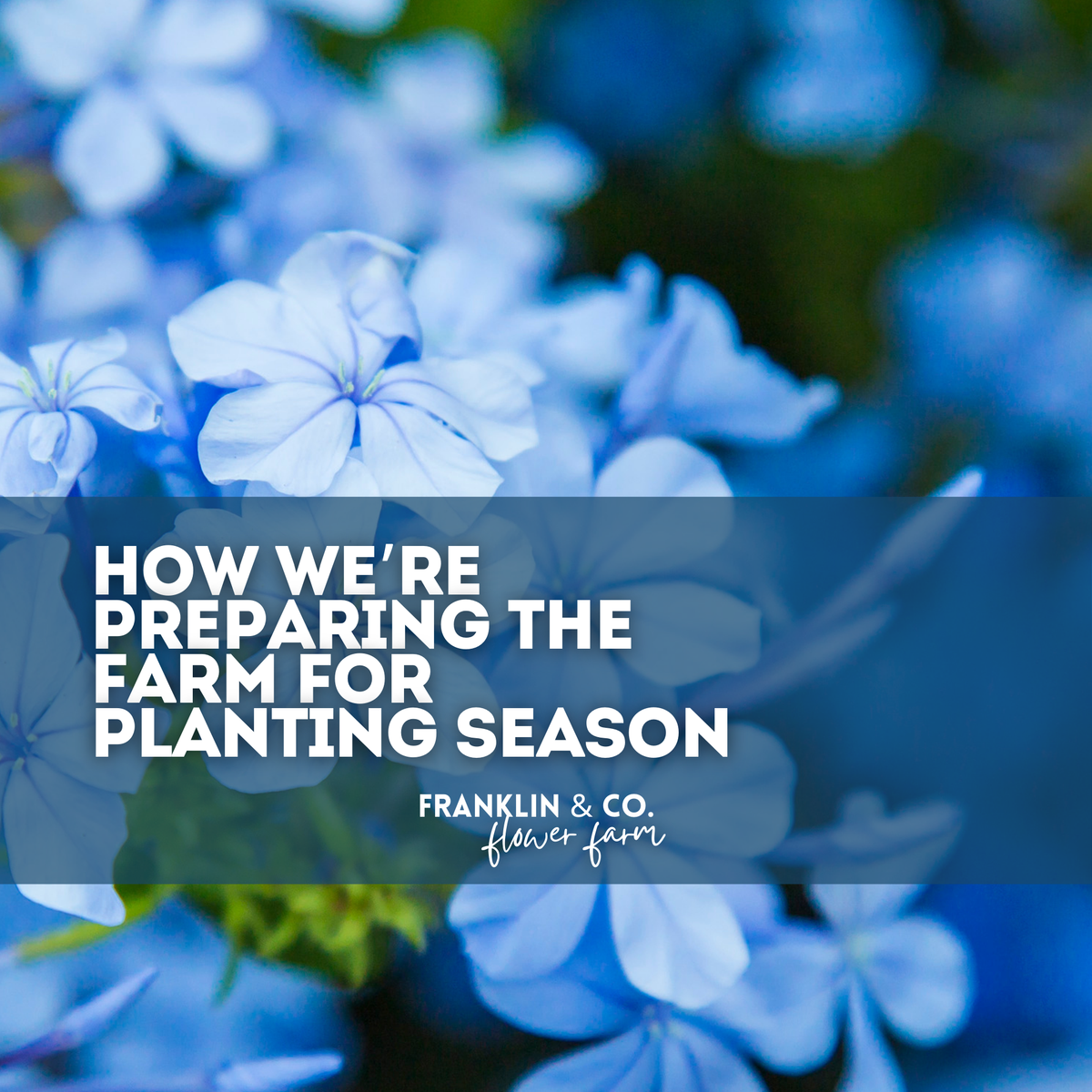 How We're Preparing the Farm for Planting Season – Franklin & Co ...
