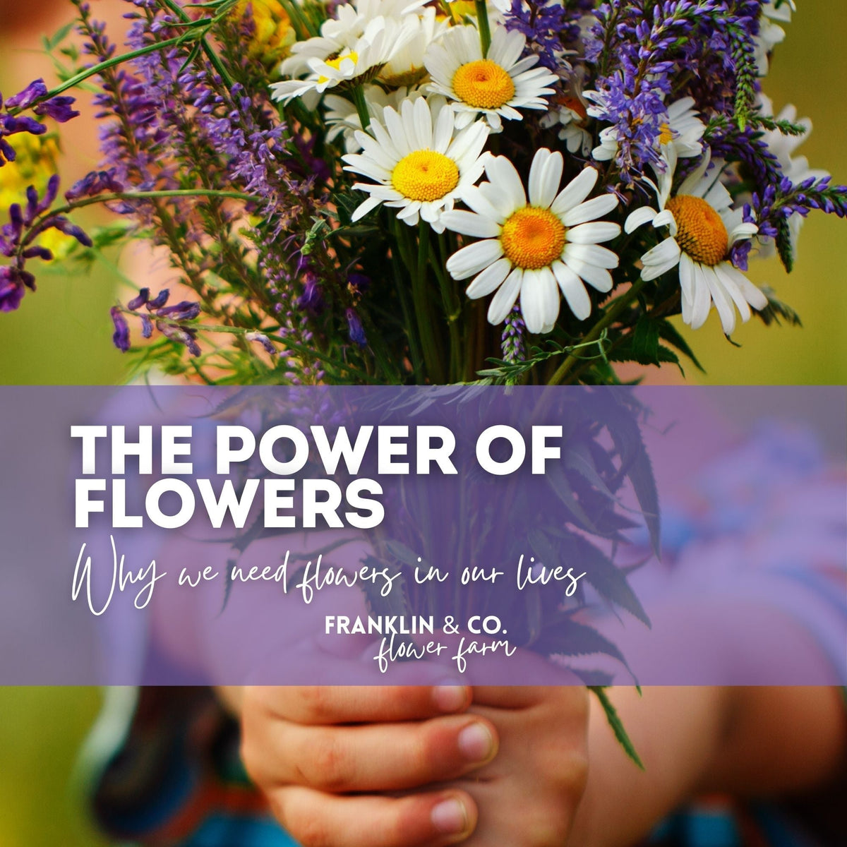 The Power of Flowers: Why We Need Beauty in Our Lives – Franklin & Co ...