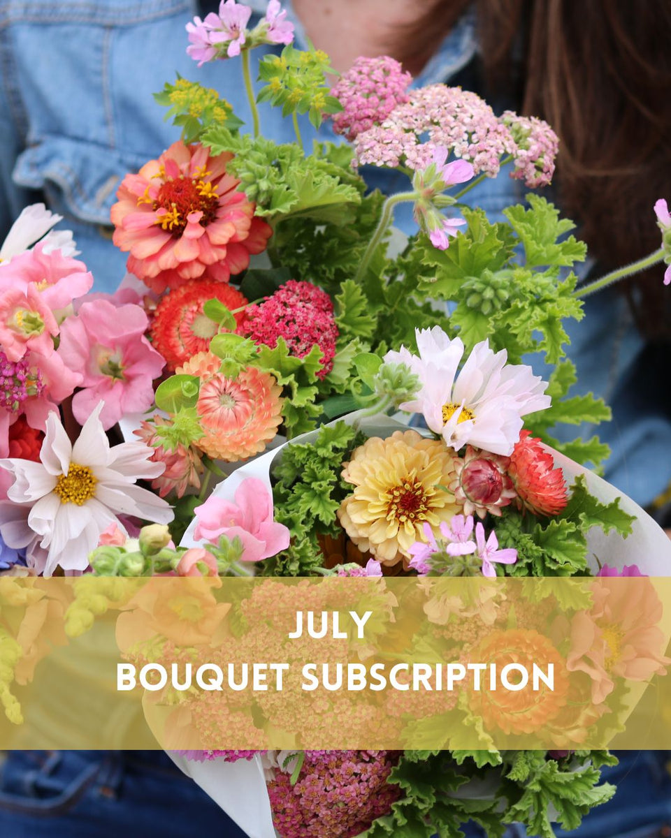 July Subscription - Four Weeks of Blooms – Franklin & Co. Flower Farm